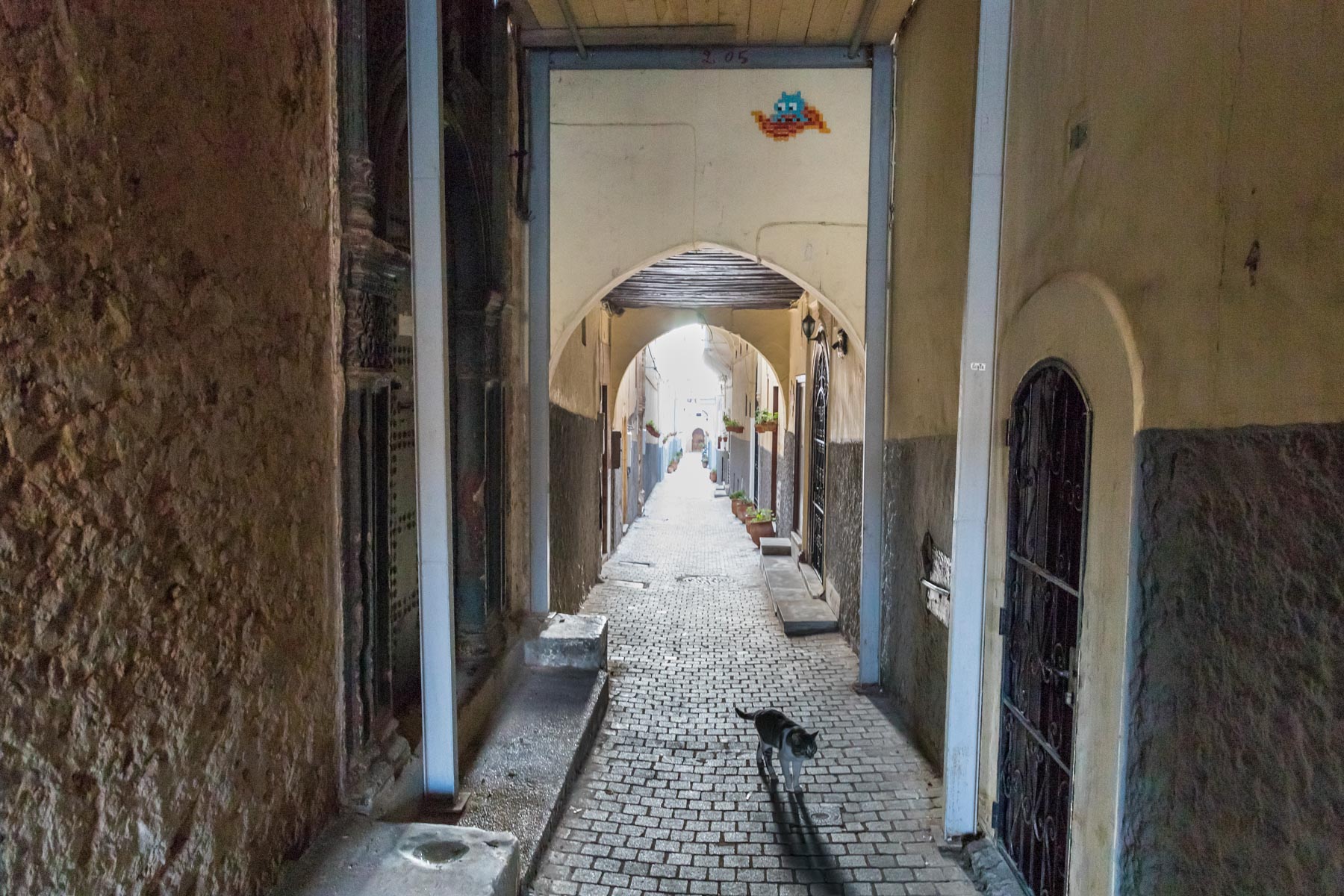 Rabat – Un oeil qui traîne…